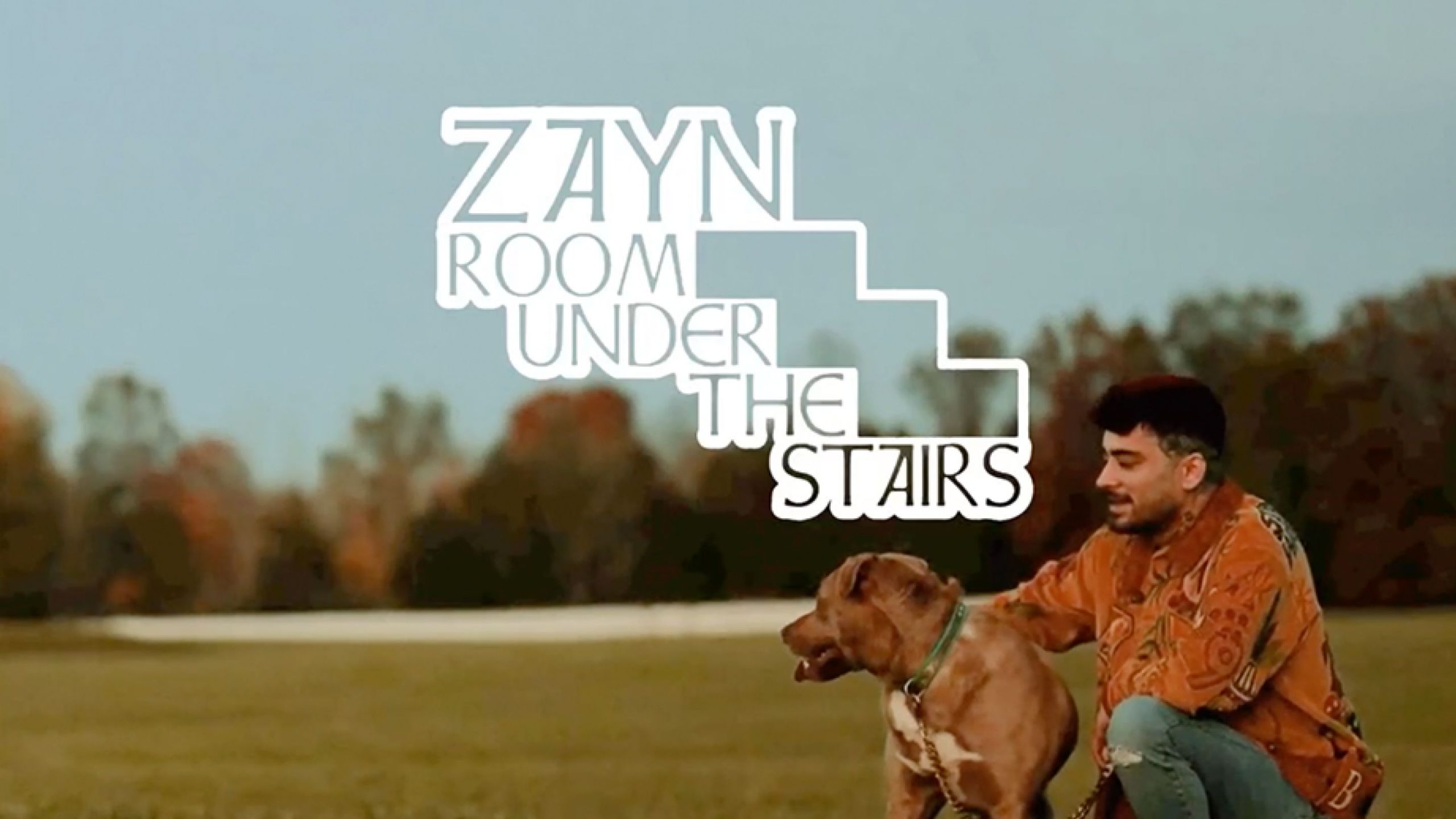 Store - Zayn